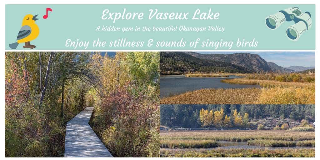 Explore Vaseux Lake Bird Sanctuary | Discover Travel Destinations ...