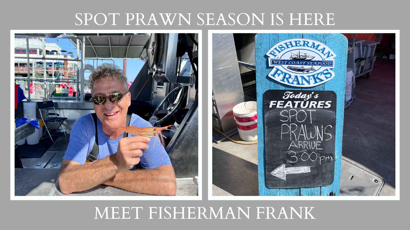 Meet Steveston Spot Prawn Fisherman Frank with video